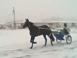 Training Wheels – Musicalhossgal